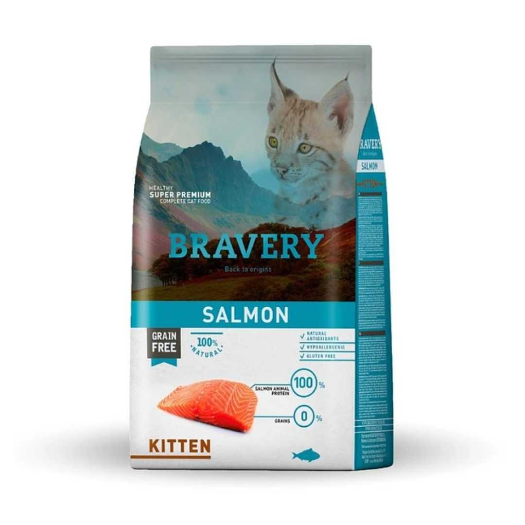 Bravery Kitten Salmón Valdivia – Los Piwos